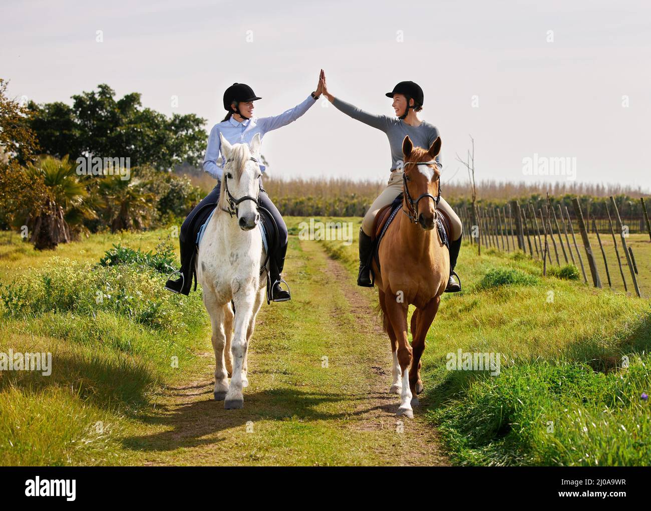 Youre doing great. Full length shot of two young woman high fiving ...