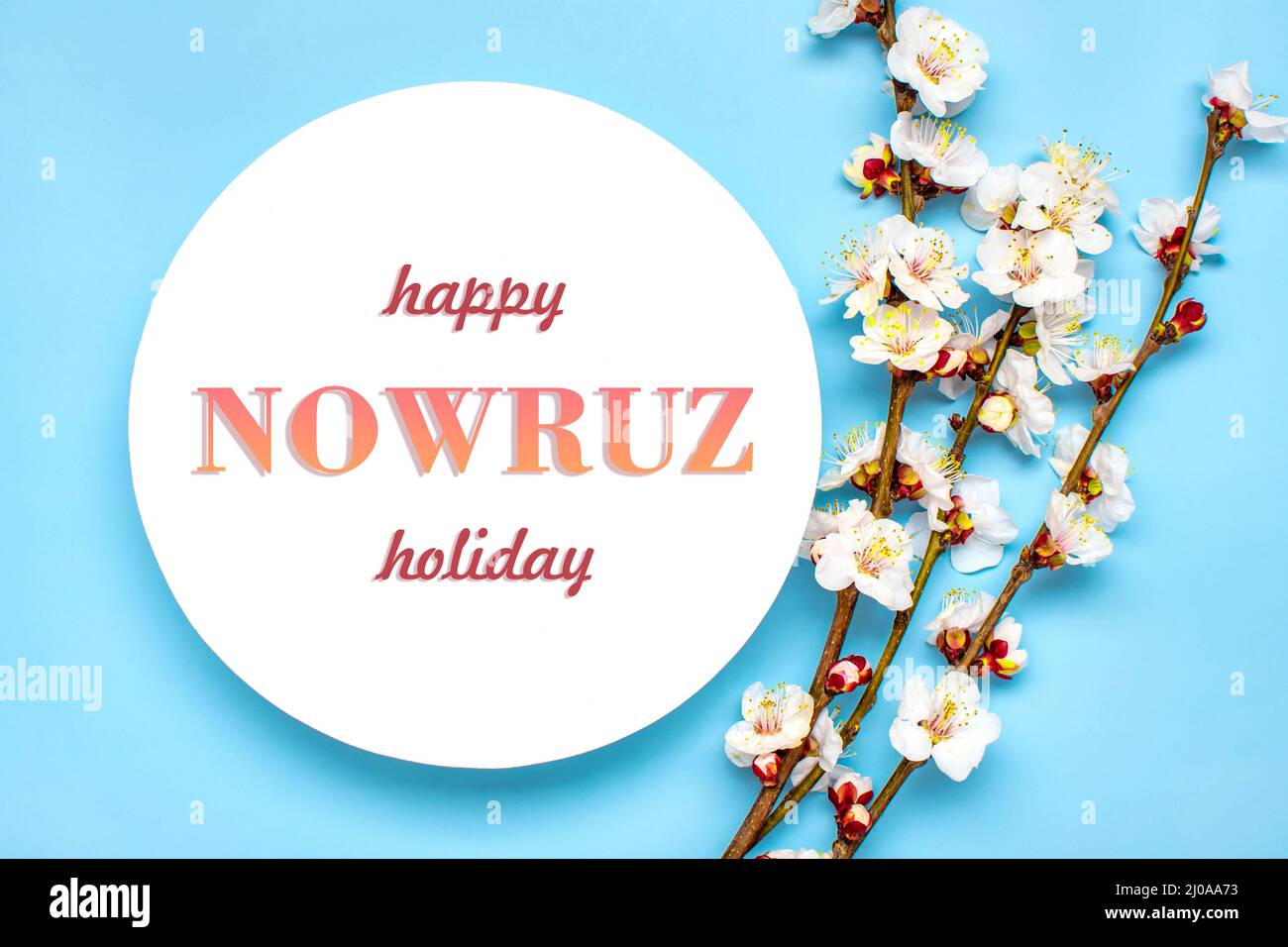 Sprigs of the apricot tree with flowers and Text Happy Nowruz Holiday ...