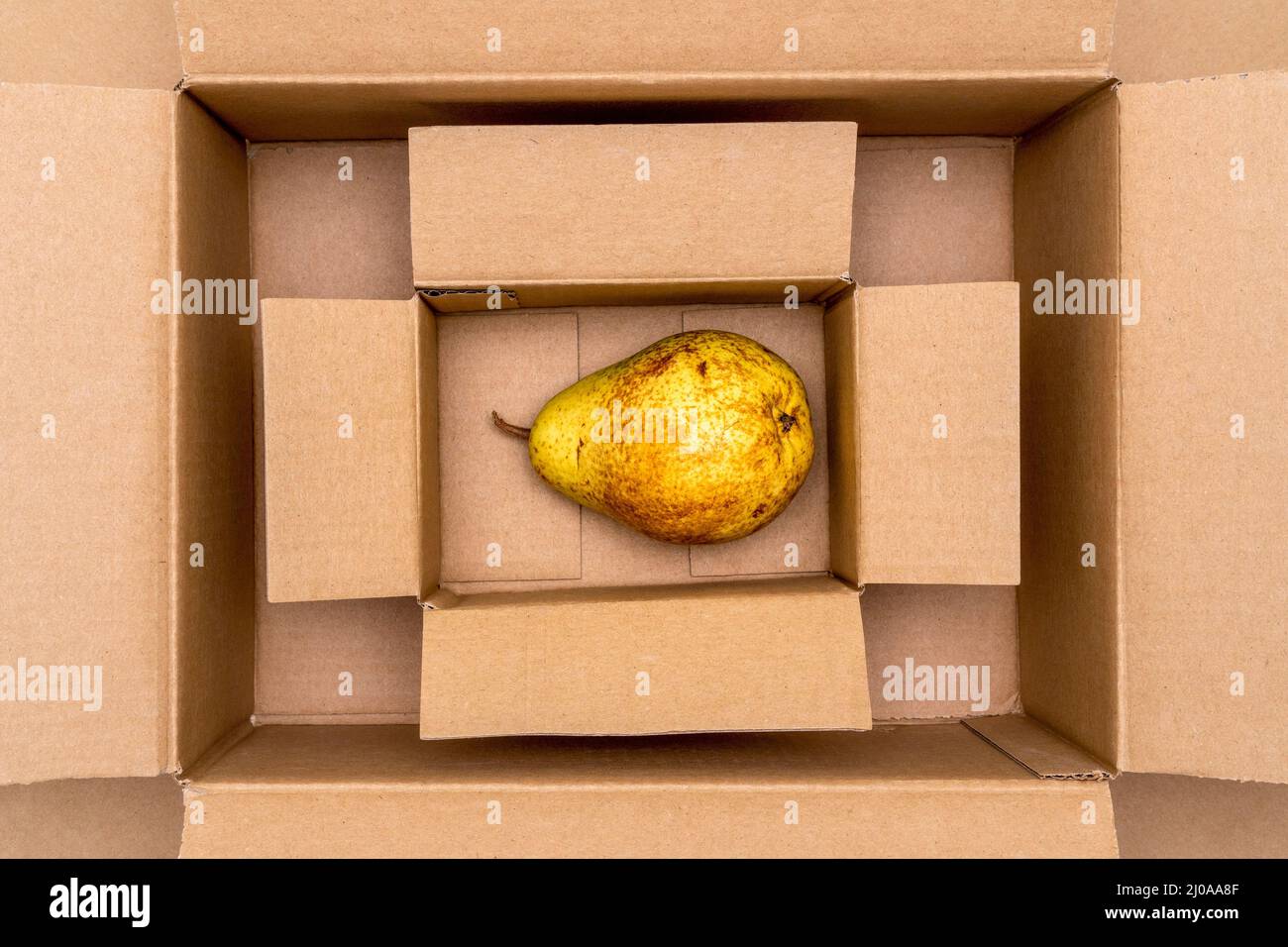 Pear on the bottom of cardboard box. One pear in a box. Food economy ...