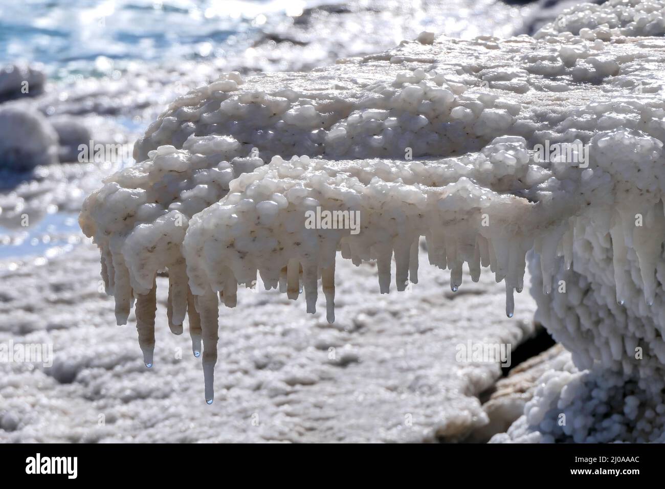 Salt crystals stalactites of the Dead Sea close-up Stock Photo - Alamy