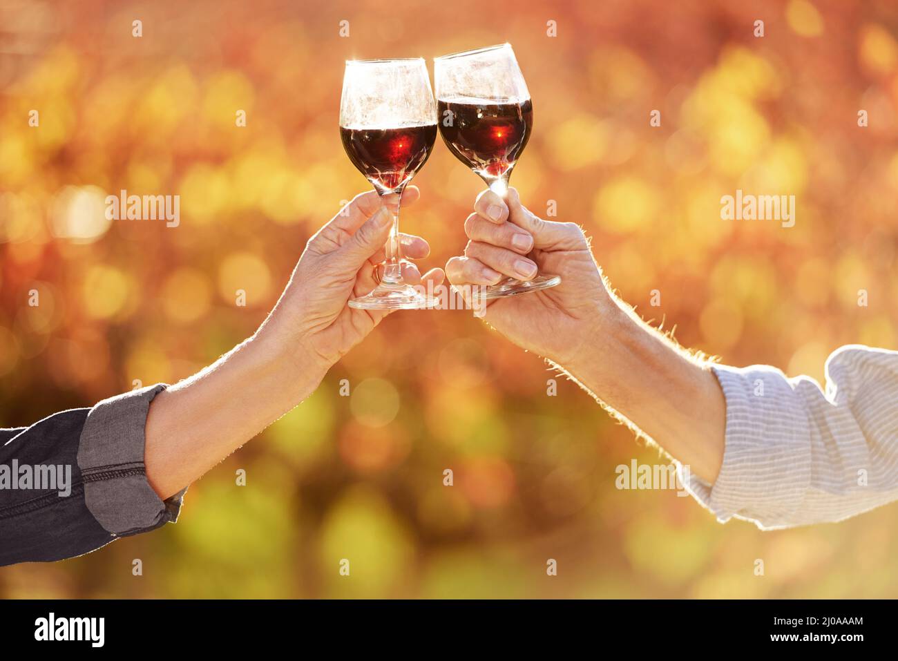 Romantic couple making toast outdoors hi-res stock photography and ...