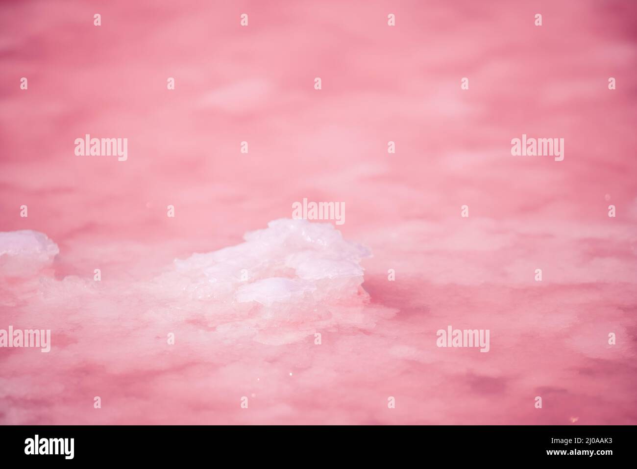 Pink salt cristales. Natural pink salt lake texture. Salt mining ...