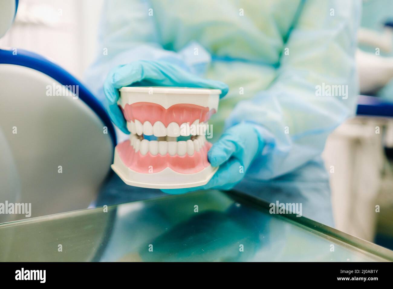 A model of a human jaw with teeth in the dentist's hand Stock Photo - Alamy