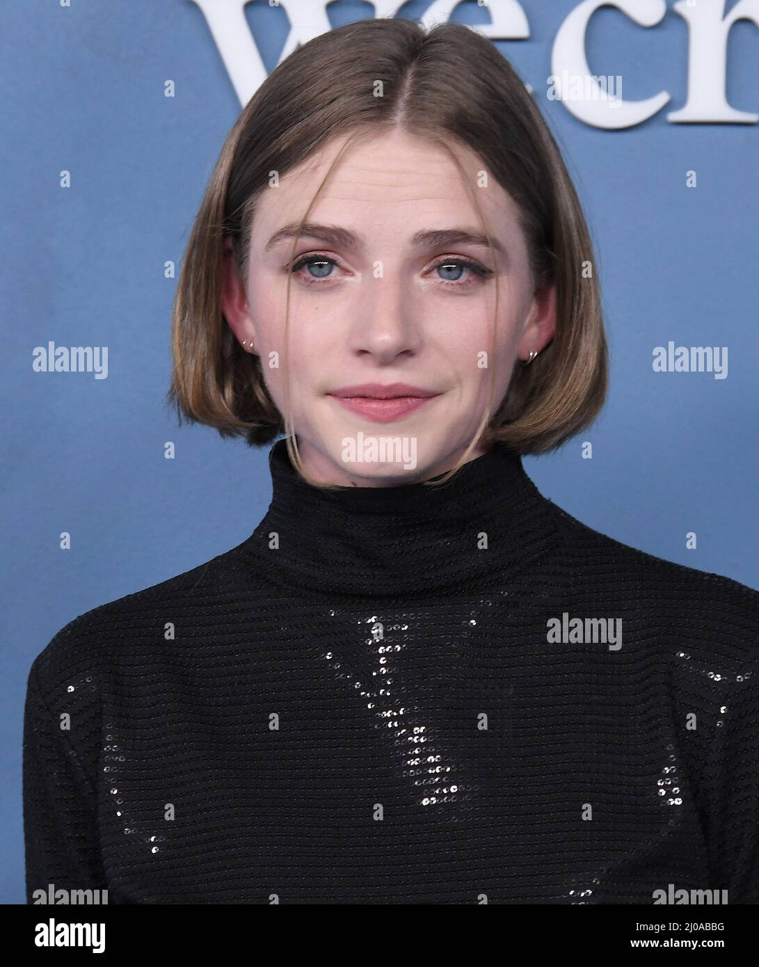 Cricket brown hi-res stock photography and images - Alamy