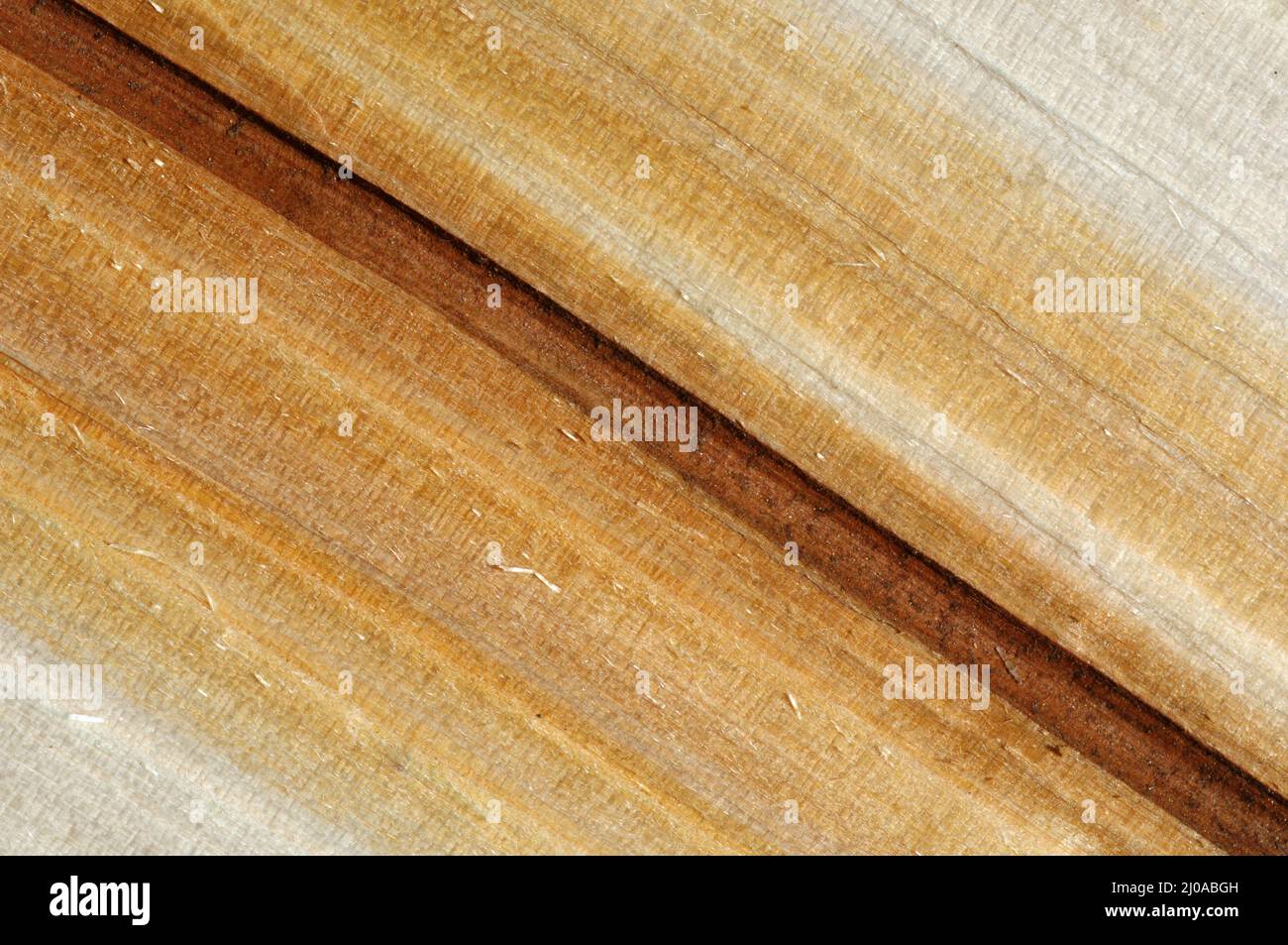 Split mark hi-res stock photography and images - Alamy