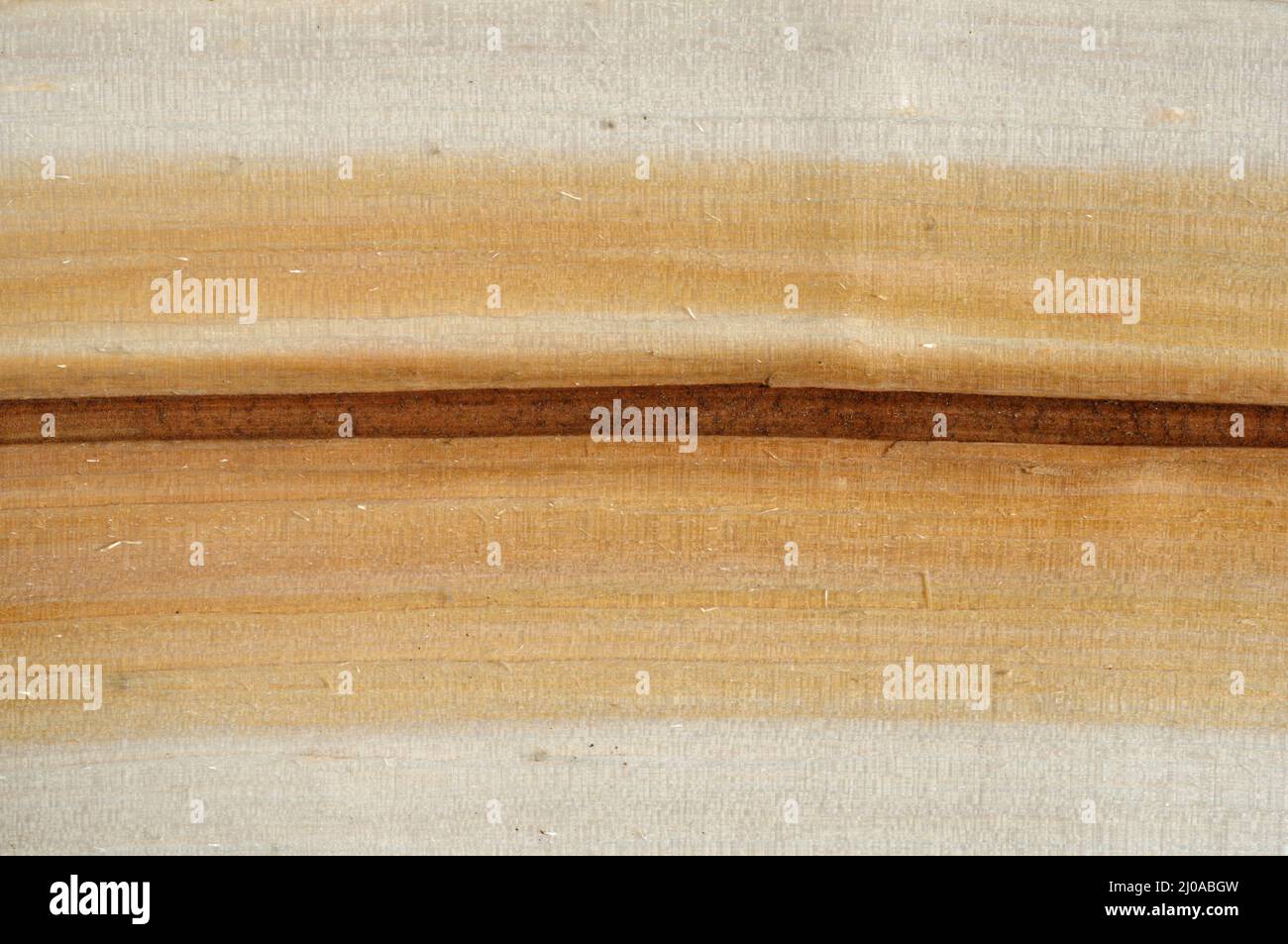 Split wood with pith Stock Photo - Alamy