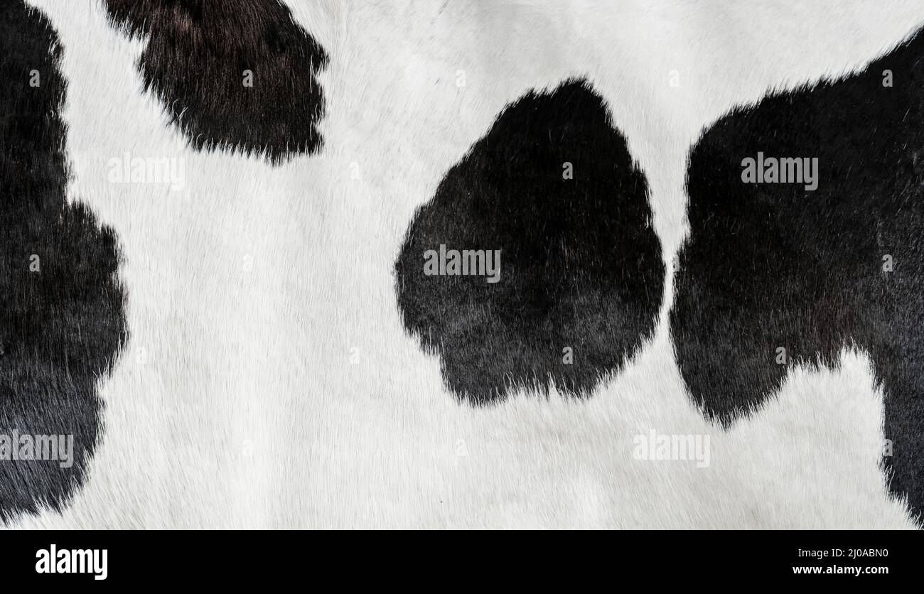 Seamless white leather texture background hi-res stock photography and ...