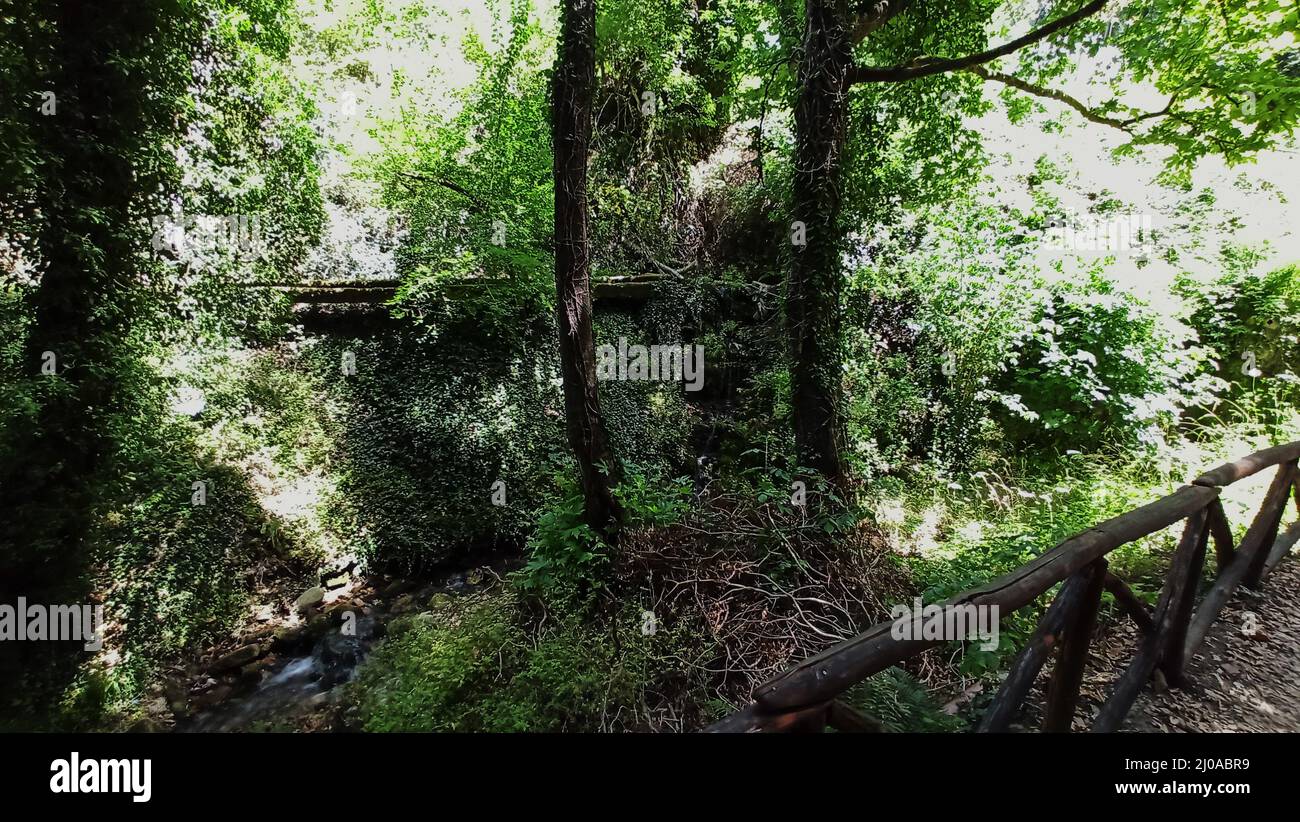 Wooden path in the forest in Megalo Chorio village Karpenisi Greece ...