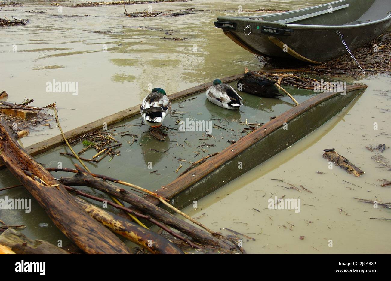 Weidling hi-res stock photography and images - Alamy