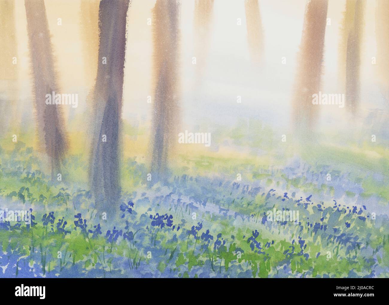 Blue flowers in the misty forest watercolor landscape Stock Photo - Alamy