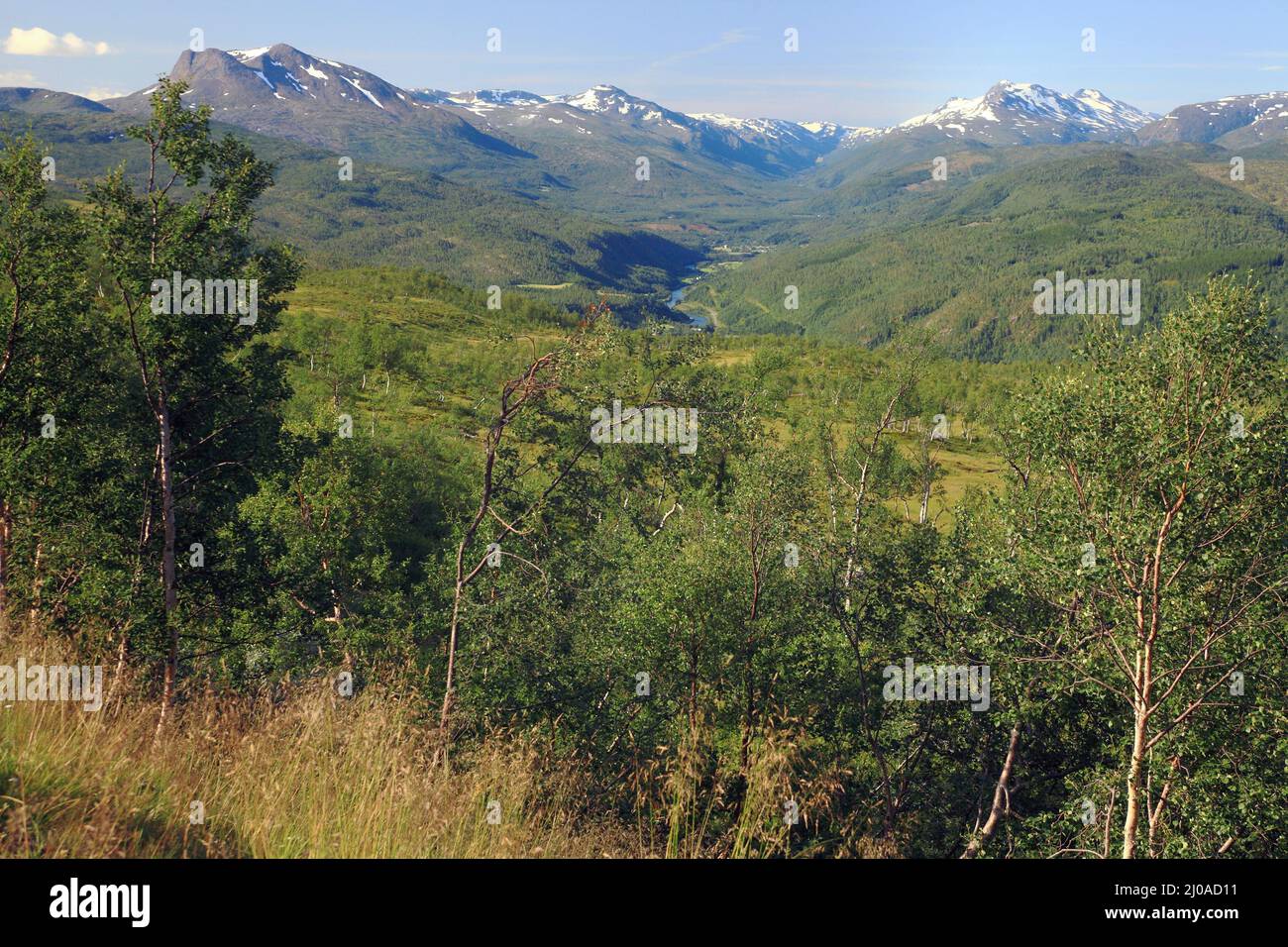 Beiarn hi-res stock photography and images - Alamy