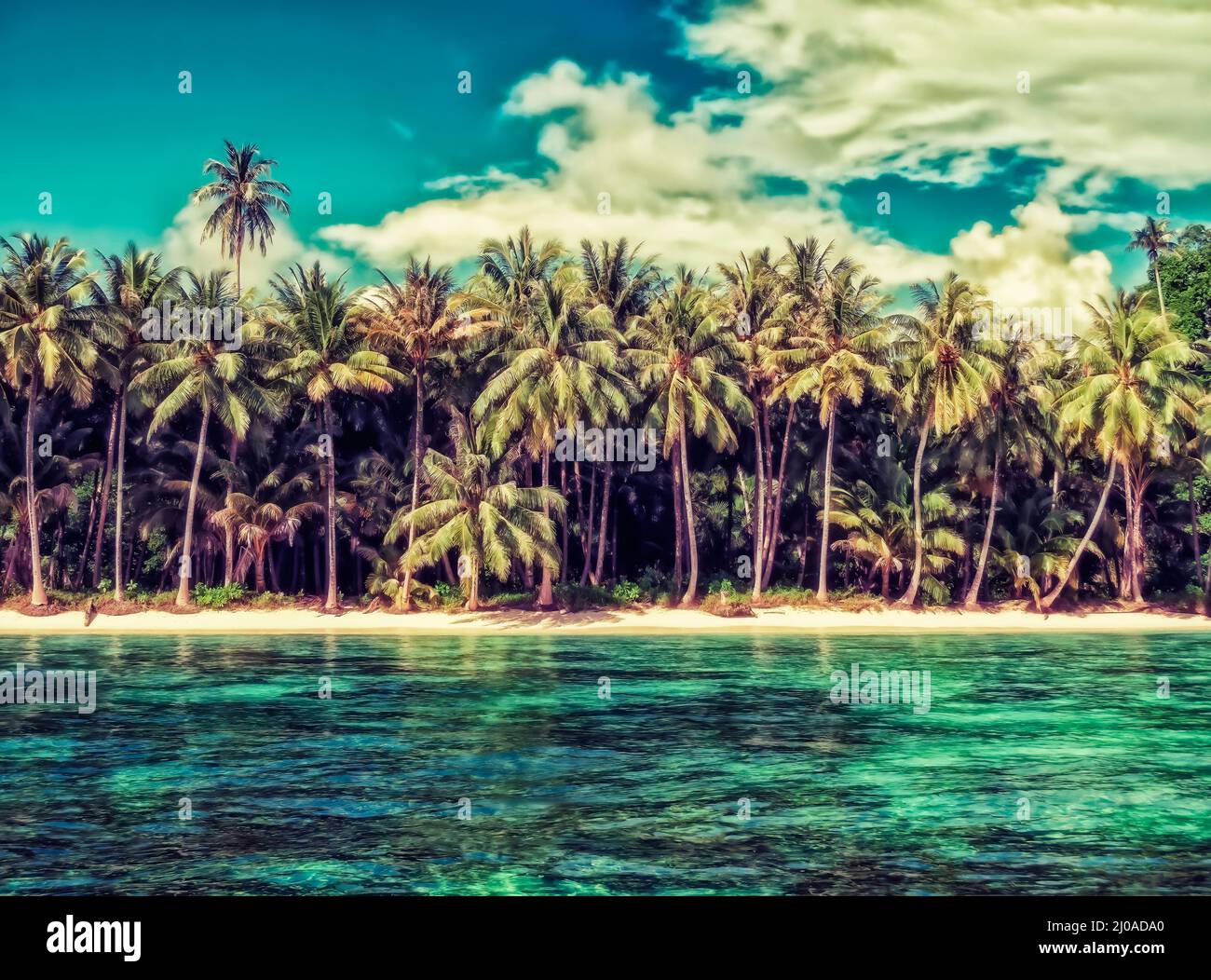 Palm trees on the beach of a tropical island Stock Photo - Alamy