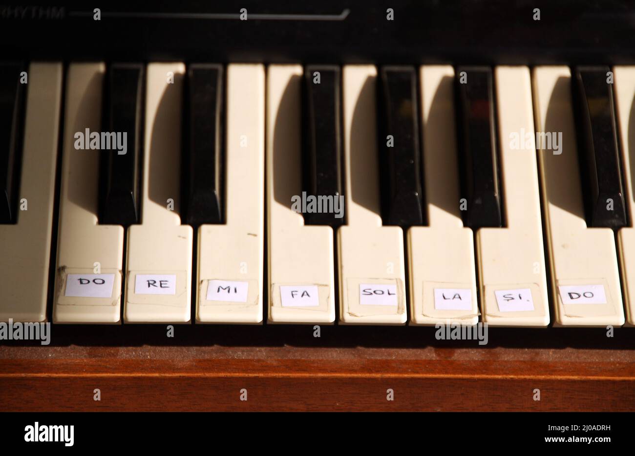 Piano Keyboard With Note Names