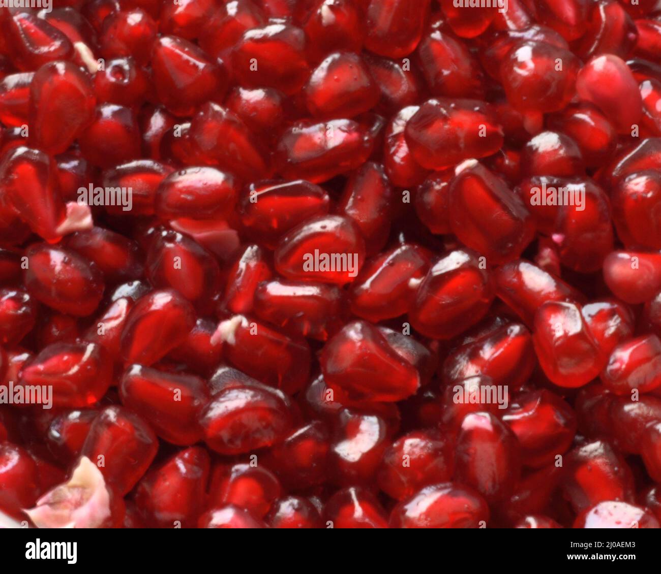 Garnet berry hi-res stock photography and images - Alamy