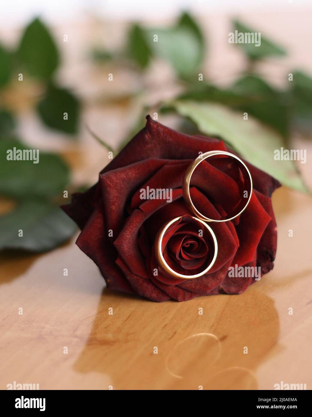 Two wedding rings love sign hi-res stock photography and images - Alamy