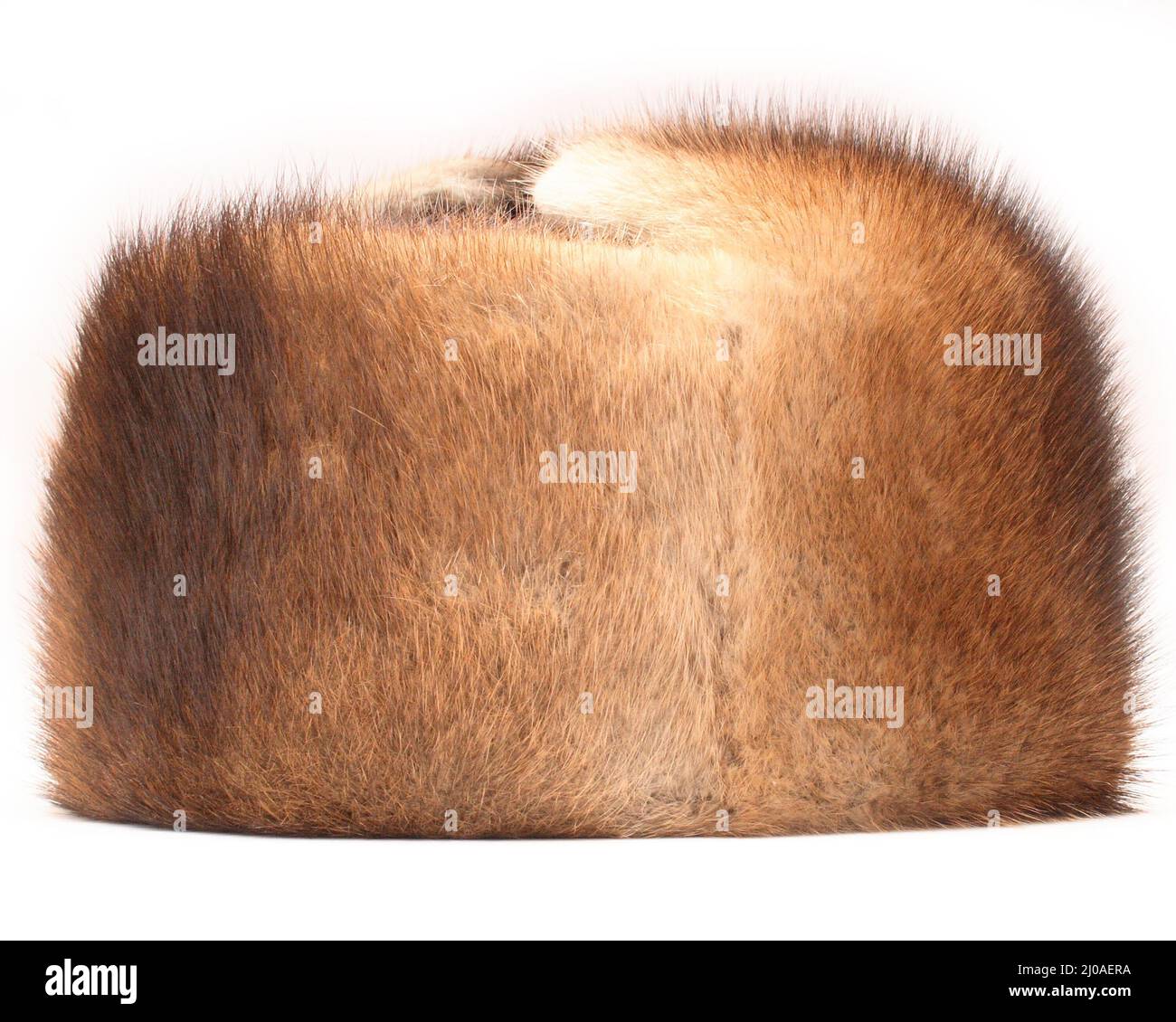 Animal skin hat hi-res stock photography and images - Alamy