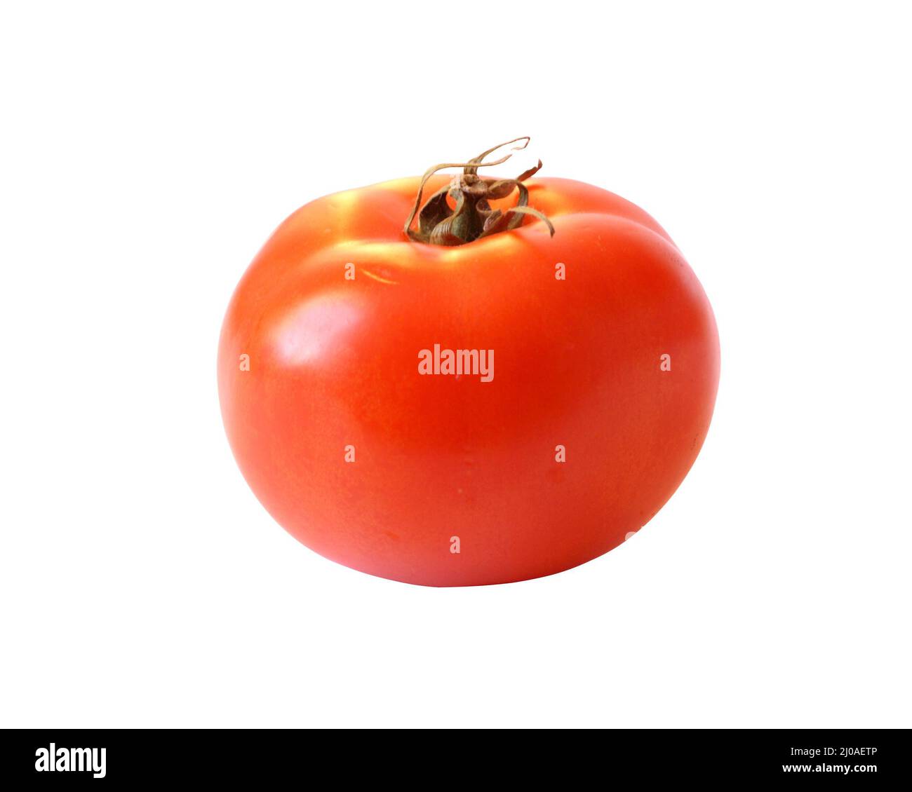 Tomato stalk Cut Out Stock Images & Pictures - Alamy