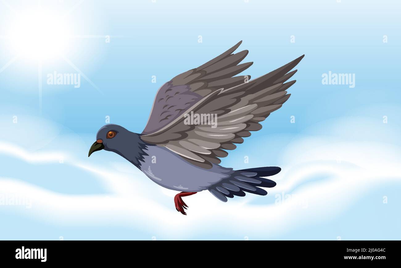 Rock dove bird flying in the sky illustration Stock Vector Image & Art ...