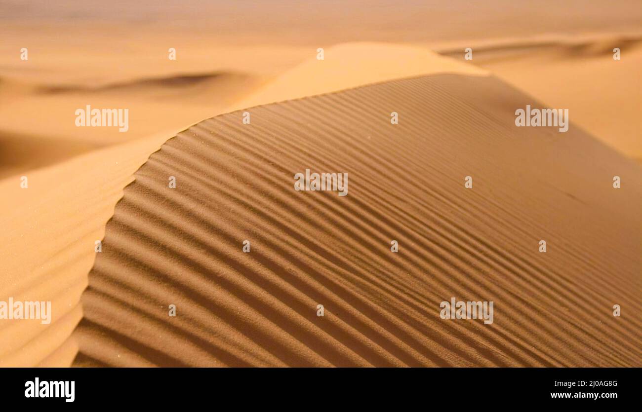 Ripples in the sand dunes in the Wahiba sand Oman Stock Photo - Alamy