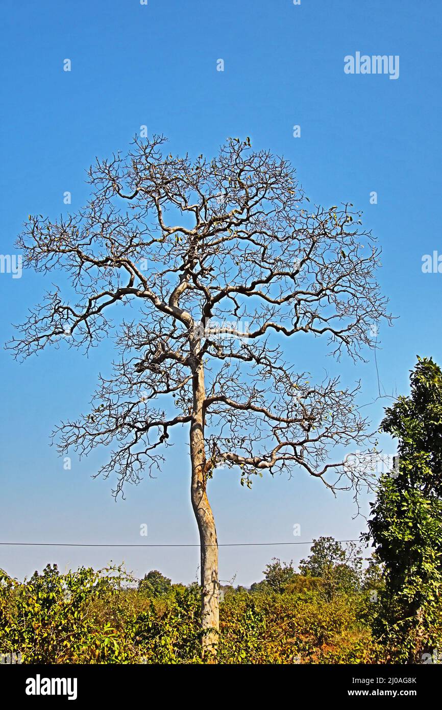 U n i t a l s i hi-res stock photography and images - Alamy