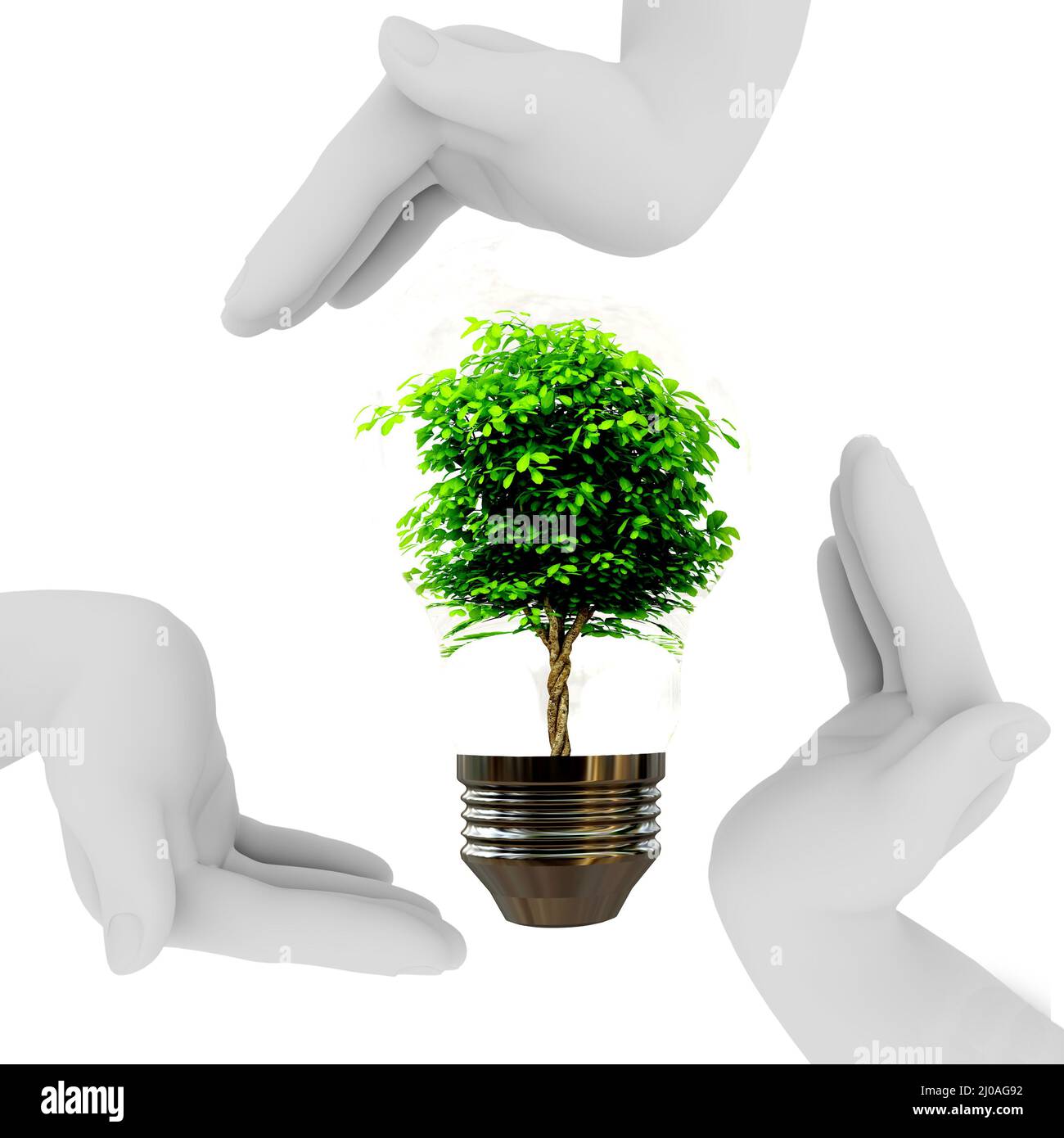 Tree bulb hi-res stock photography and images - Alamy