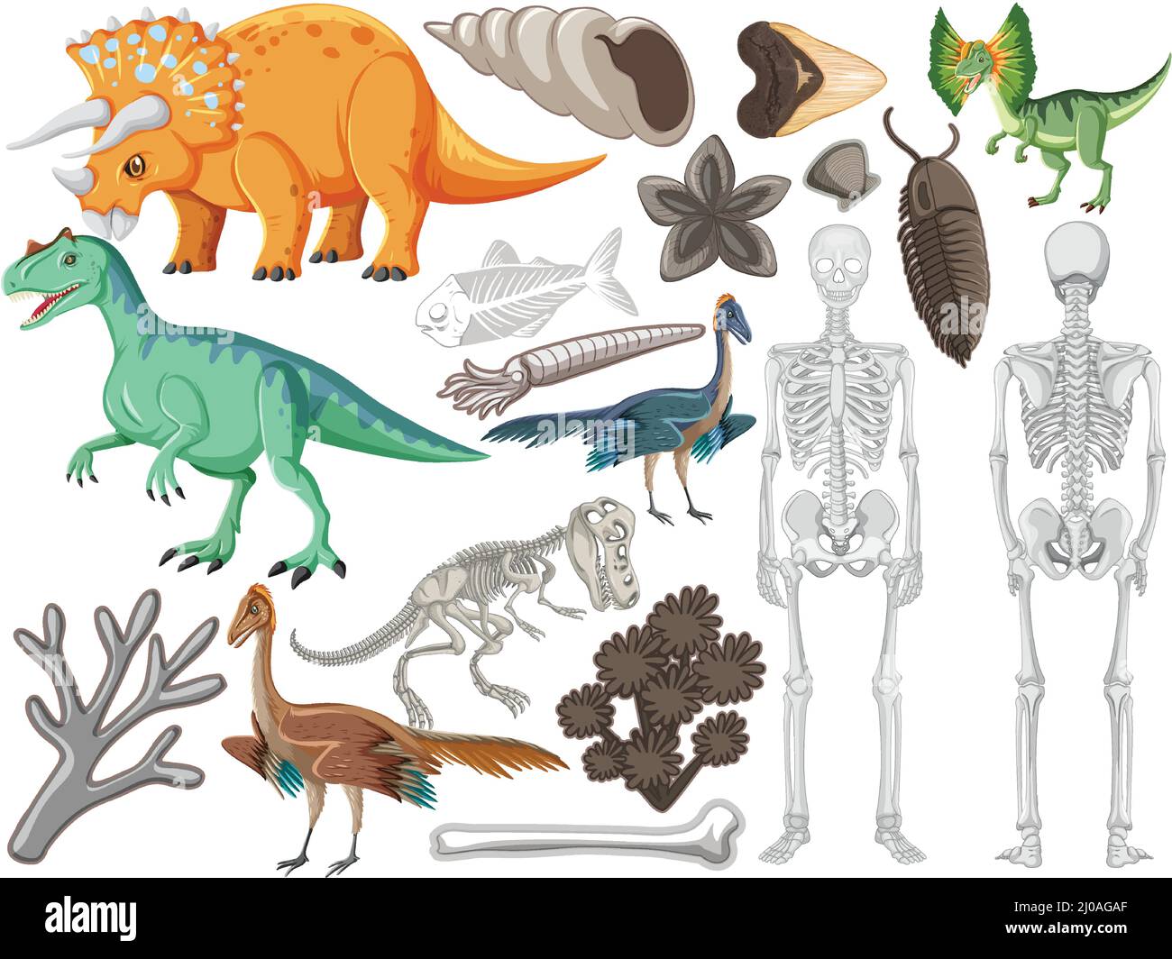 Set of different prehistoric dinosaur animal illustration Stock Vector ...
