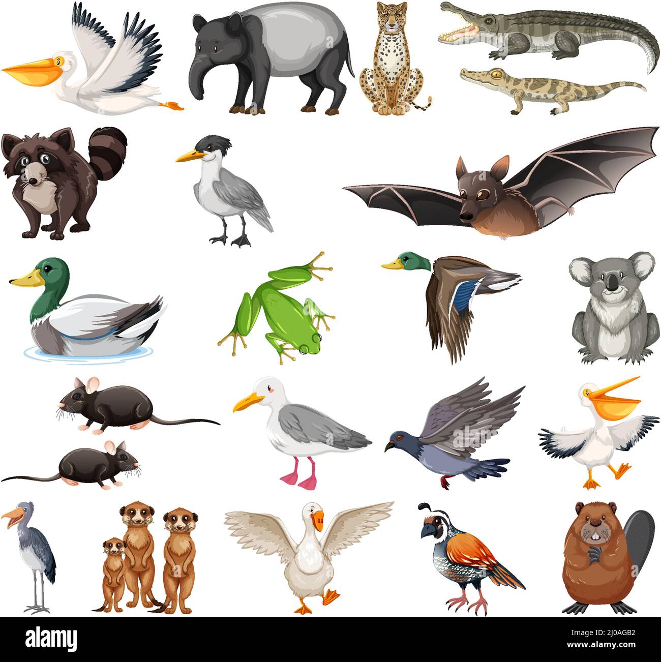 Different kinds of animals collection illustration Stock Vector Image ...