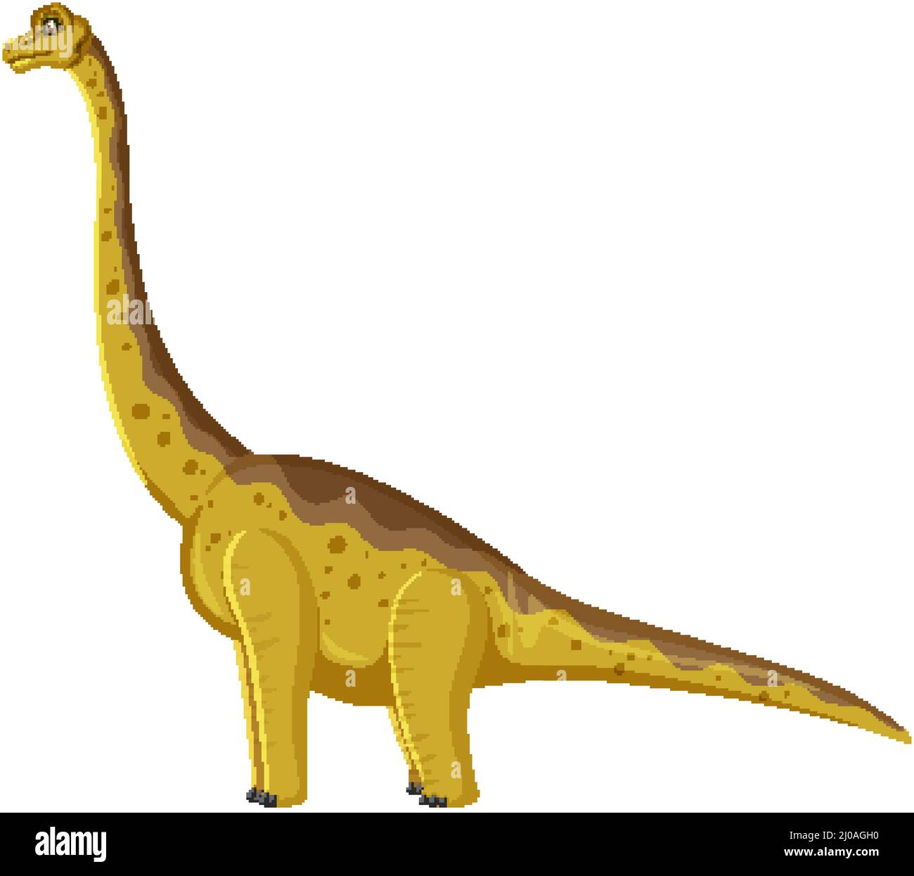 Brachiosaurus dinosaur on white background illustration Stock Vector ...