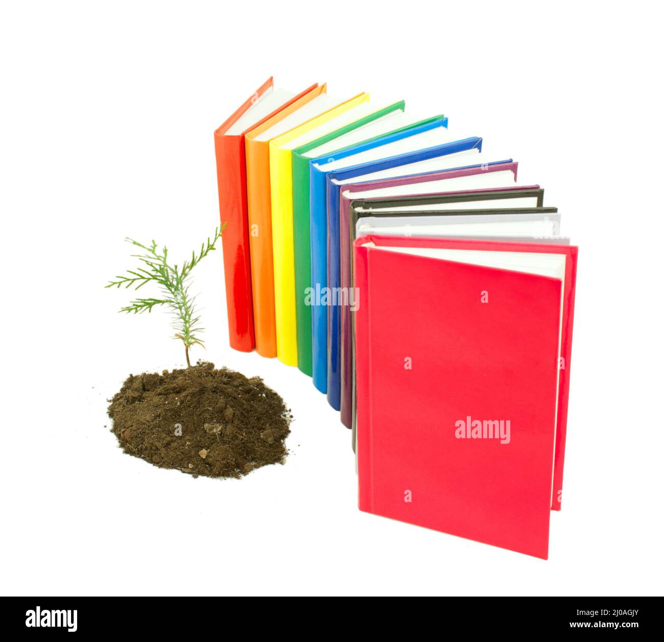 Grown from Cut Out Stock Images & Pictures - Alamy