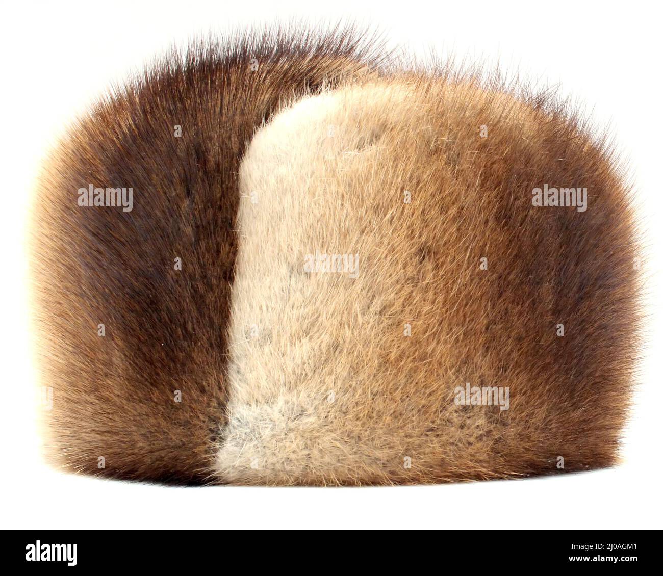 Mink Skin High Resolution Stock Photography and Images - Alamy