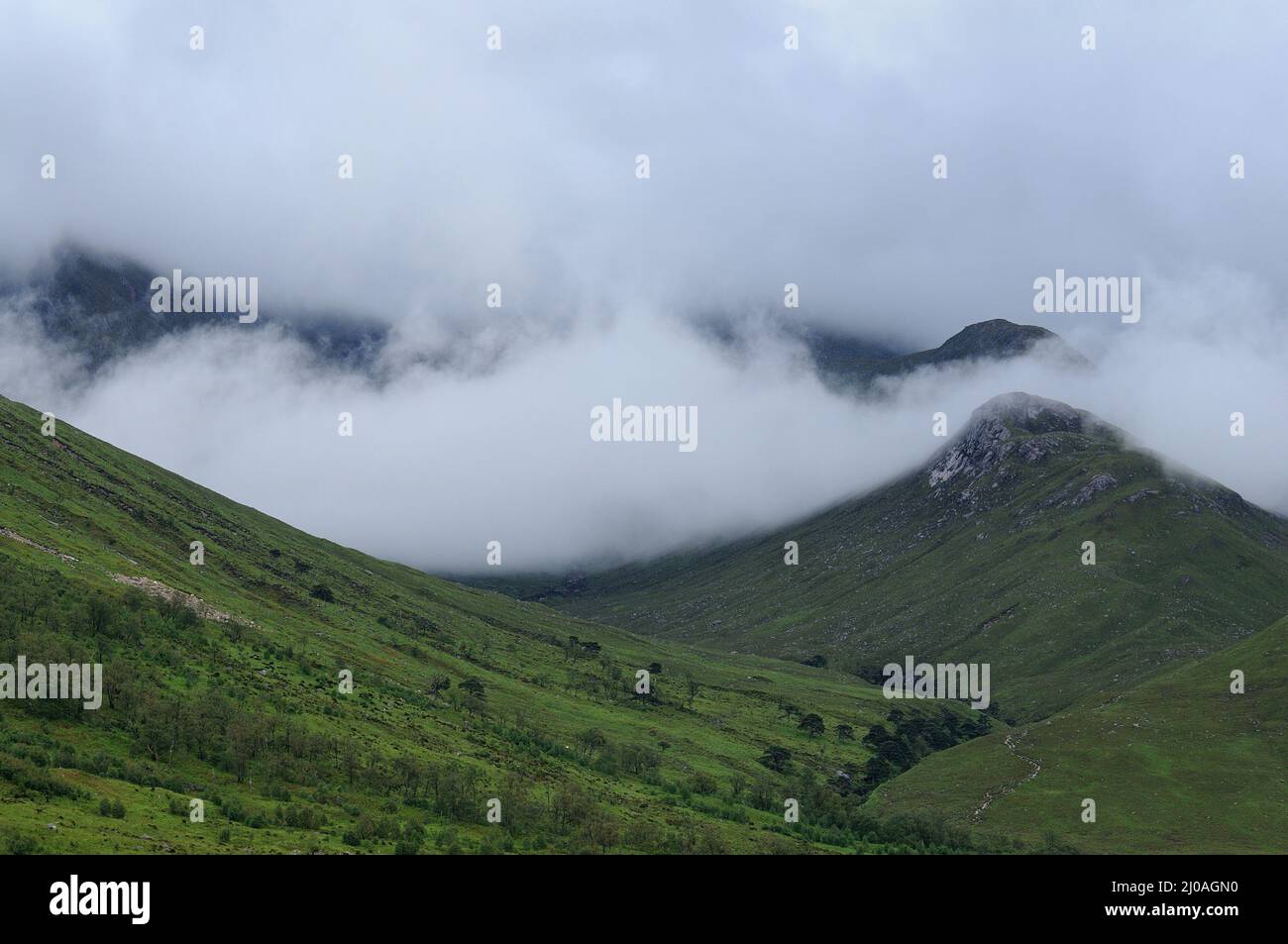Scottish fog hi-res stock photography and images - Alamy