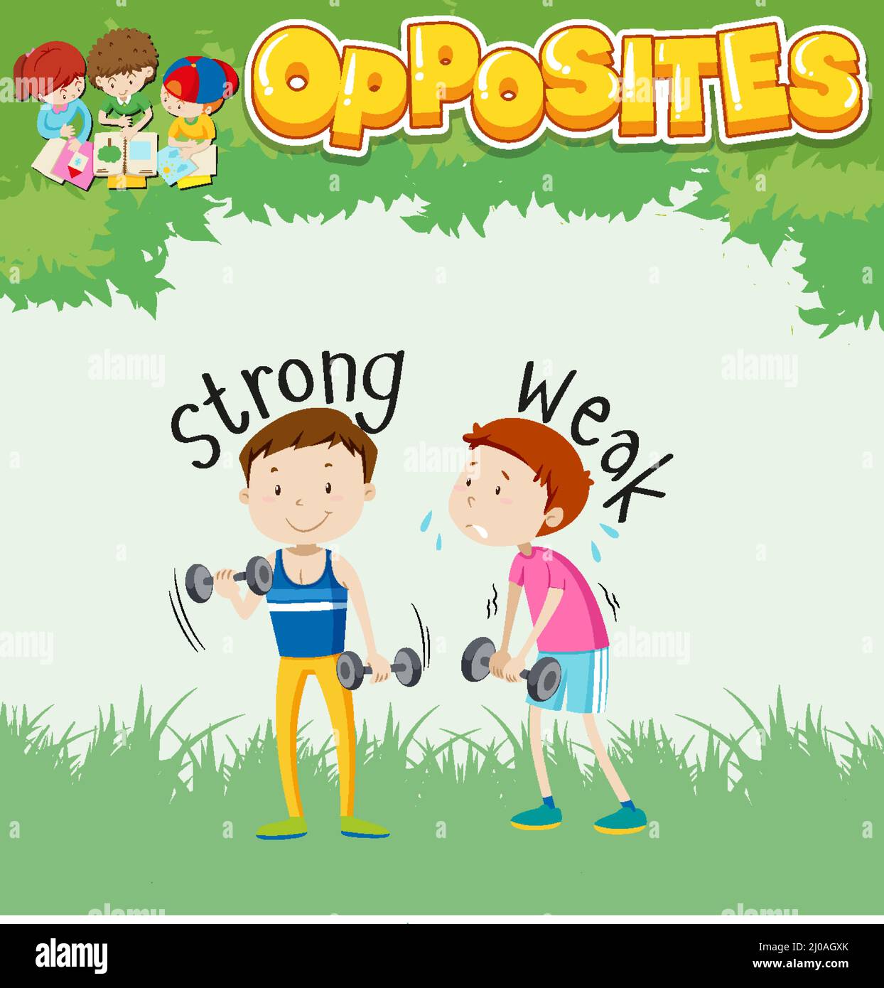 Opposite words for strong and weak illustration Stock Vector Image ...