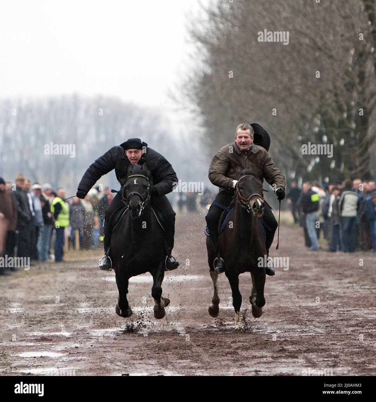 Traditional horseback riding Stock Photo - Alamy