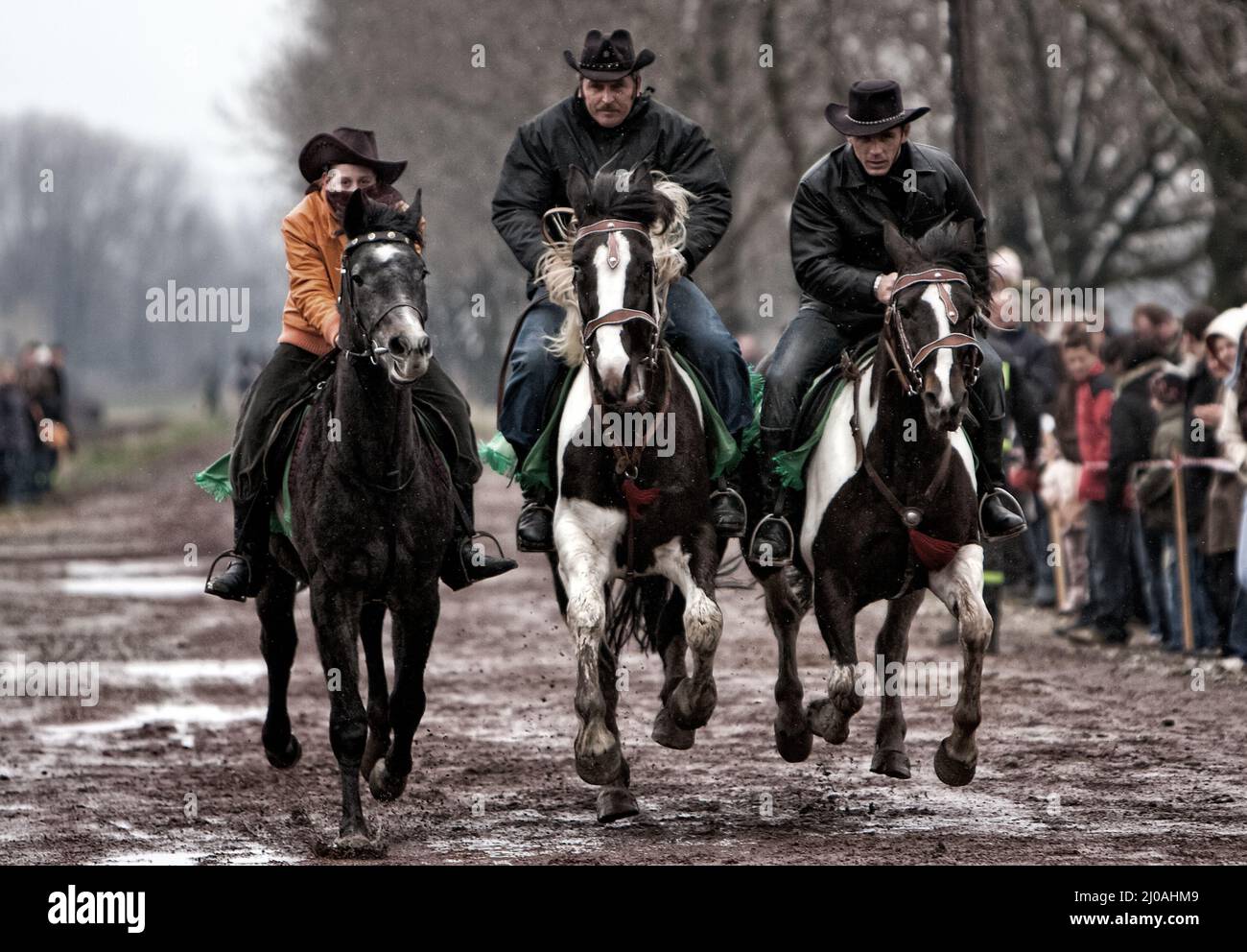 Traditional horse racing competition hi-res stock photography and ...