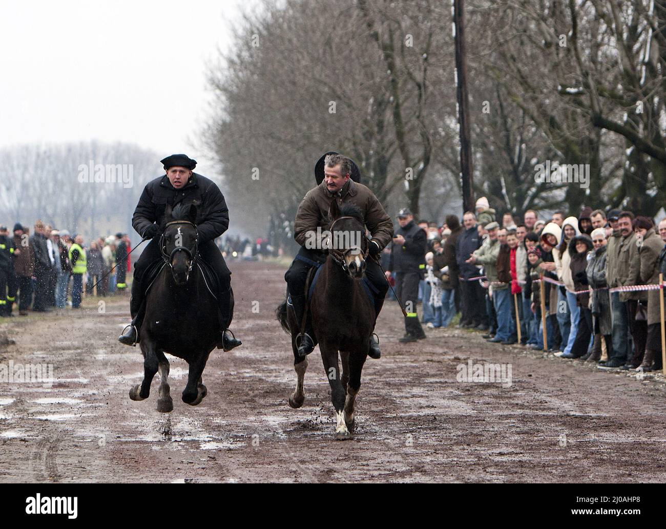 Traditional horseback riding Stock Photo - Alamy