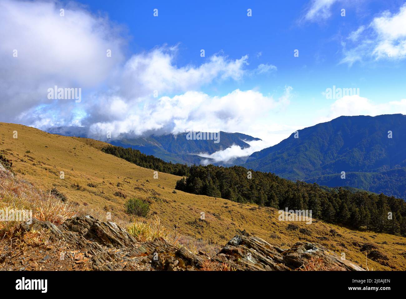 Beautiful view of mountain landscape at Hehuanshan National Forest ...