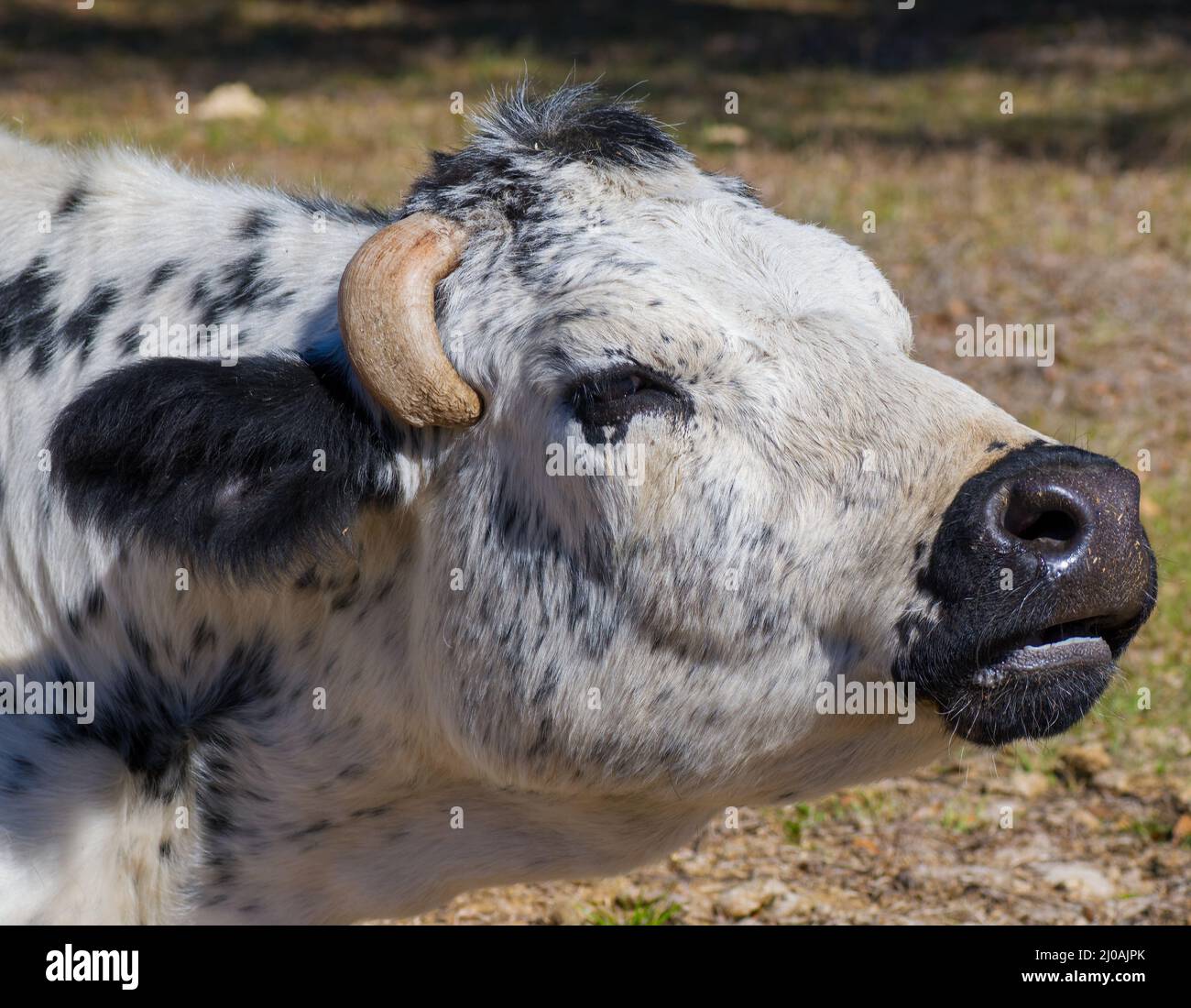 Ouch face hi-res stock photography and images - Alamy