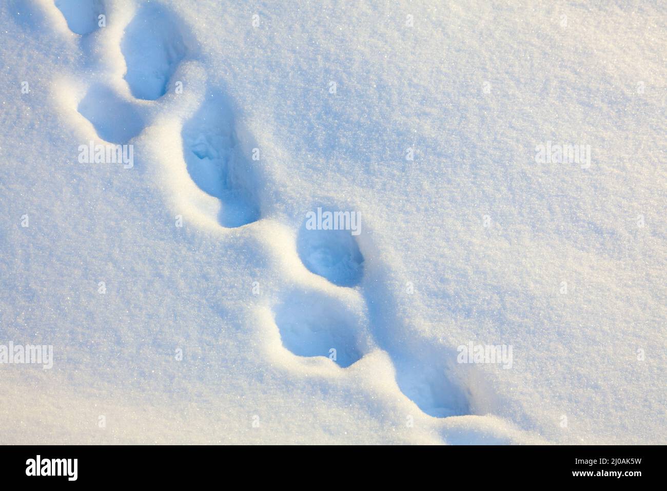 Snow imprint hi-res stock photography and images - Alamy