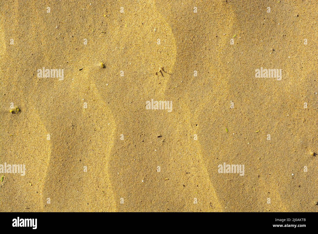 Texture of brown sand Stock Photo - Alamy