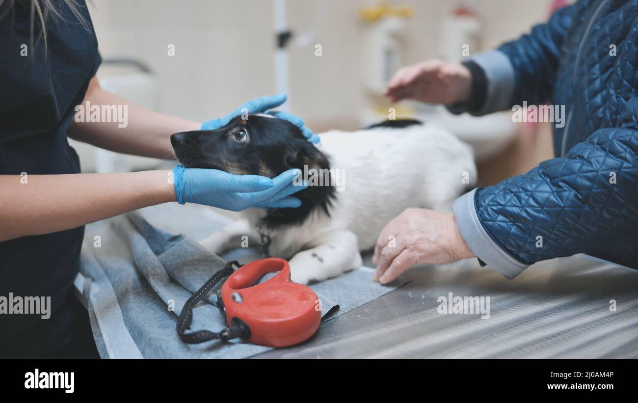 Shy man doctor hi-res stock photography and images - Alamy