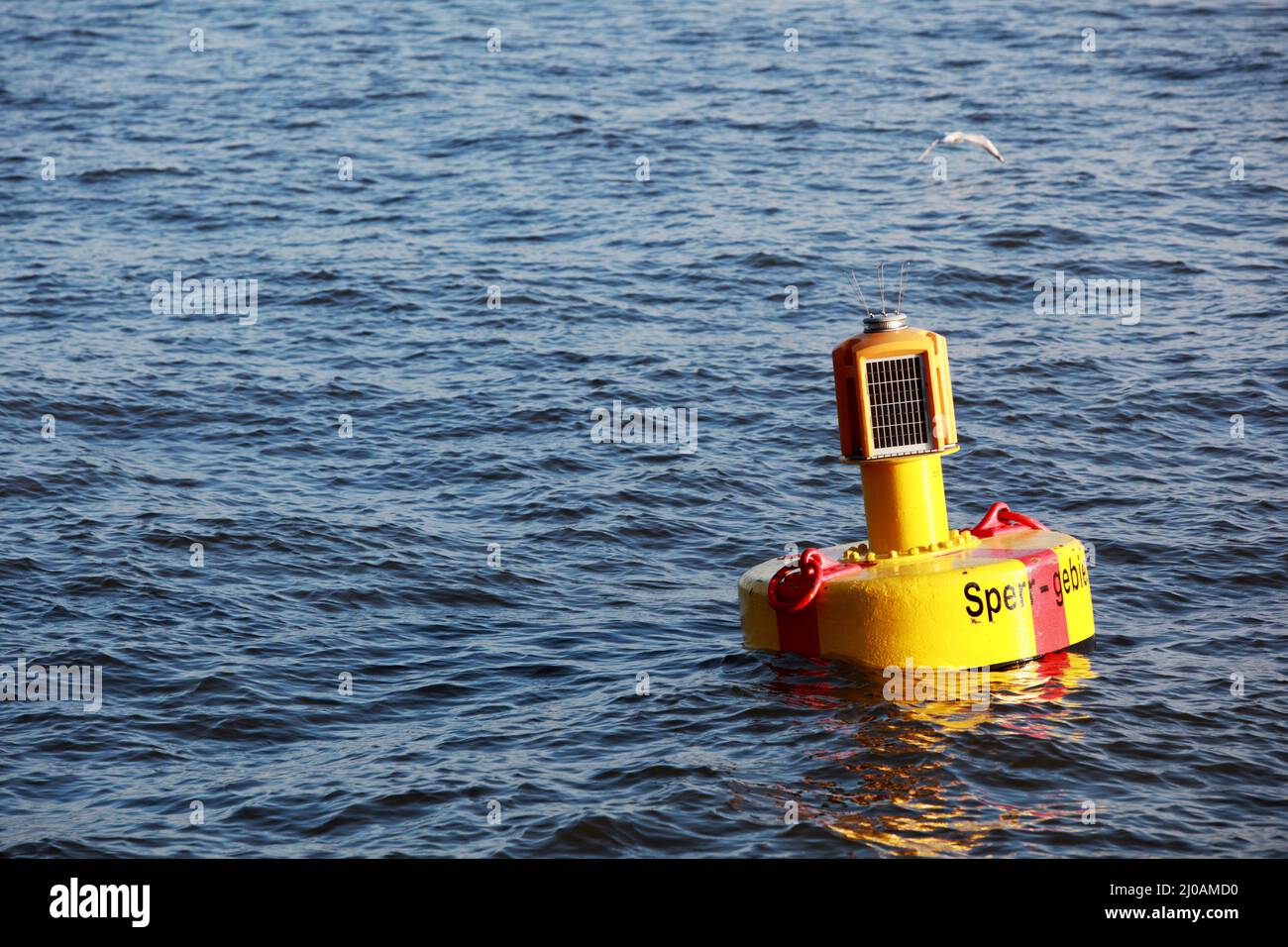 Seagull on buoy hi-res stock photography and images - Alamy