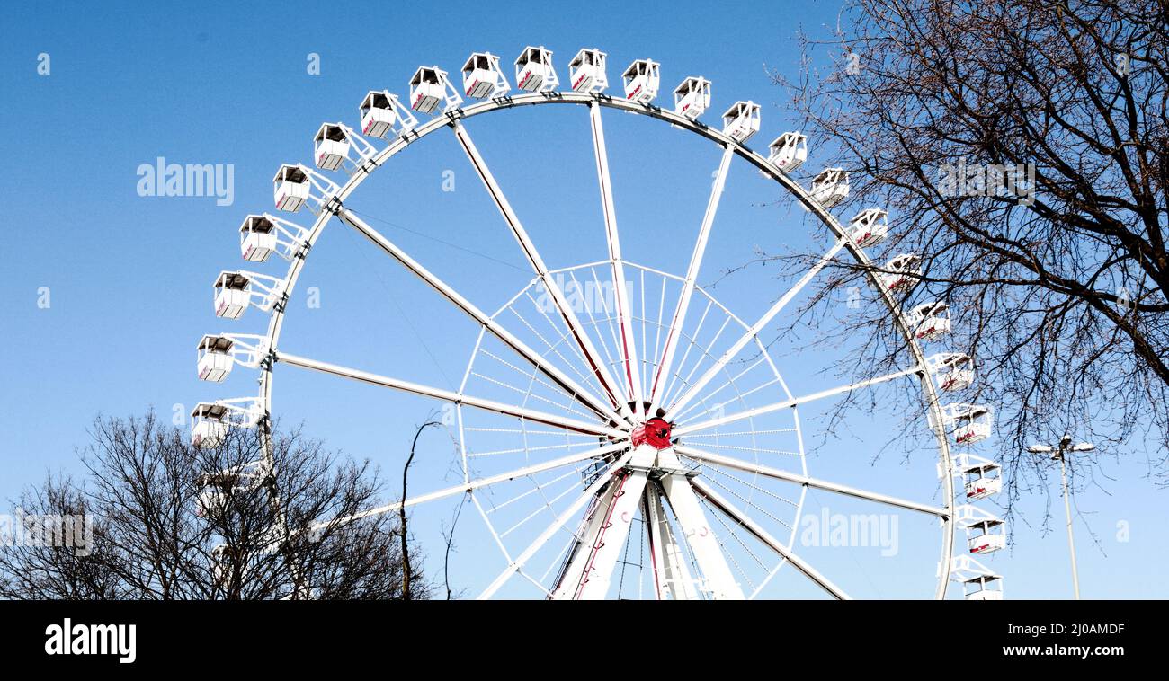 Blue tree trees wheel hi-res stock photography and images - Alamy