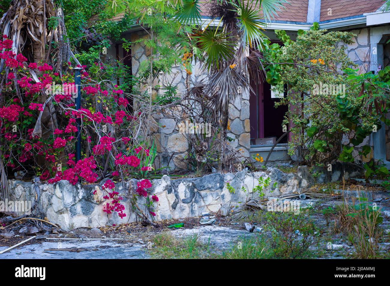Palm tree landscaping hi-res stock photography and images - Alamy