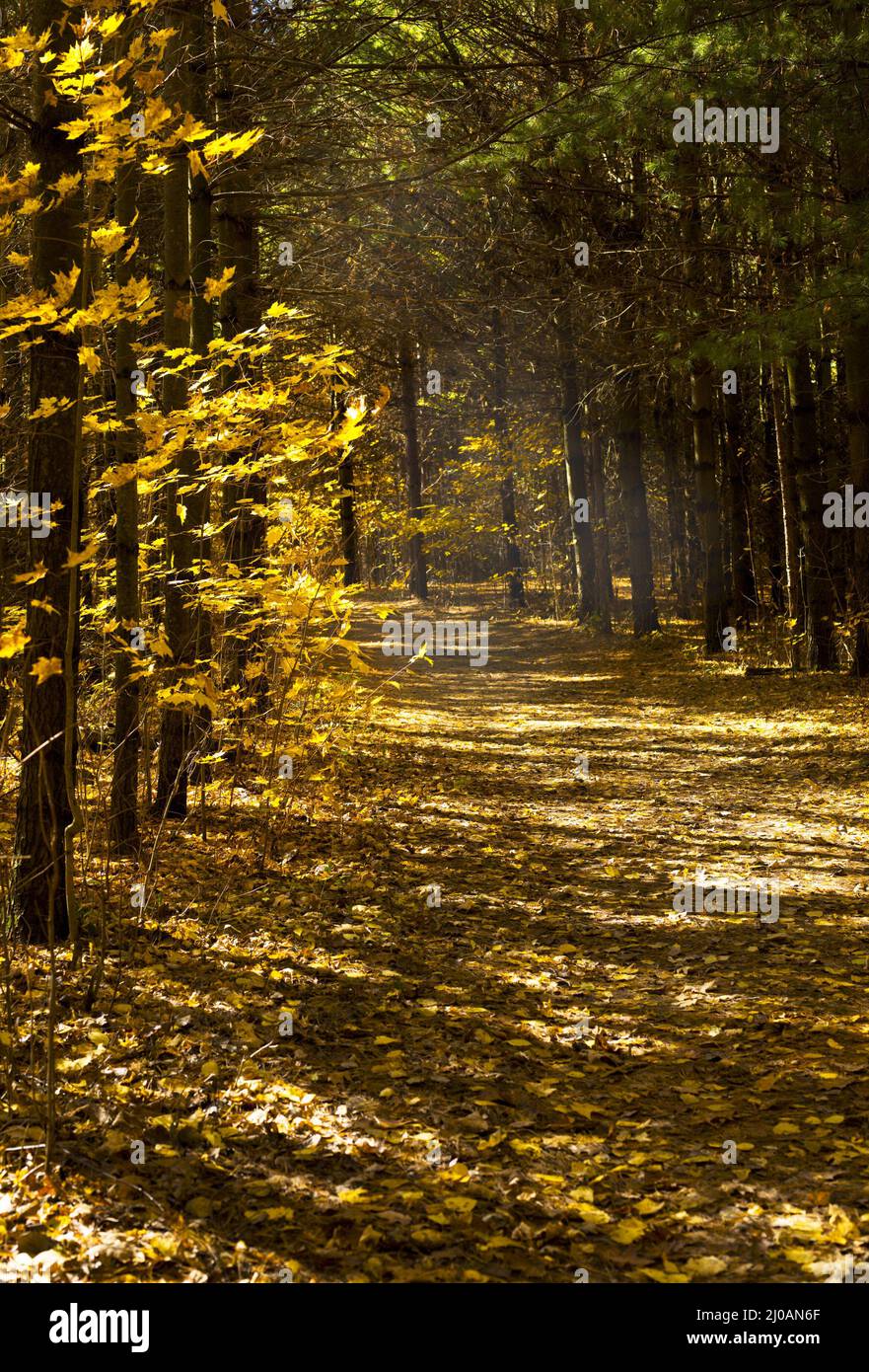 Walking empty landscape hi-res stock photography and images - Alamy