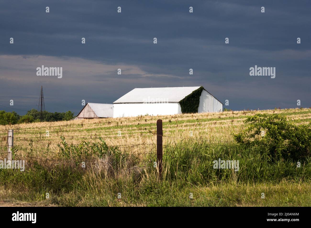 Farmhouse in a field Stock Photo - Alamy