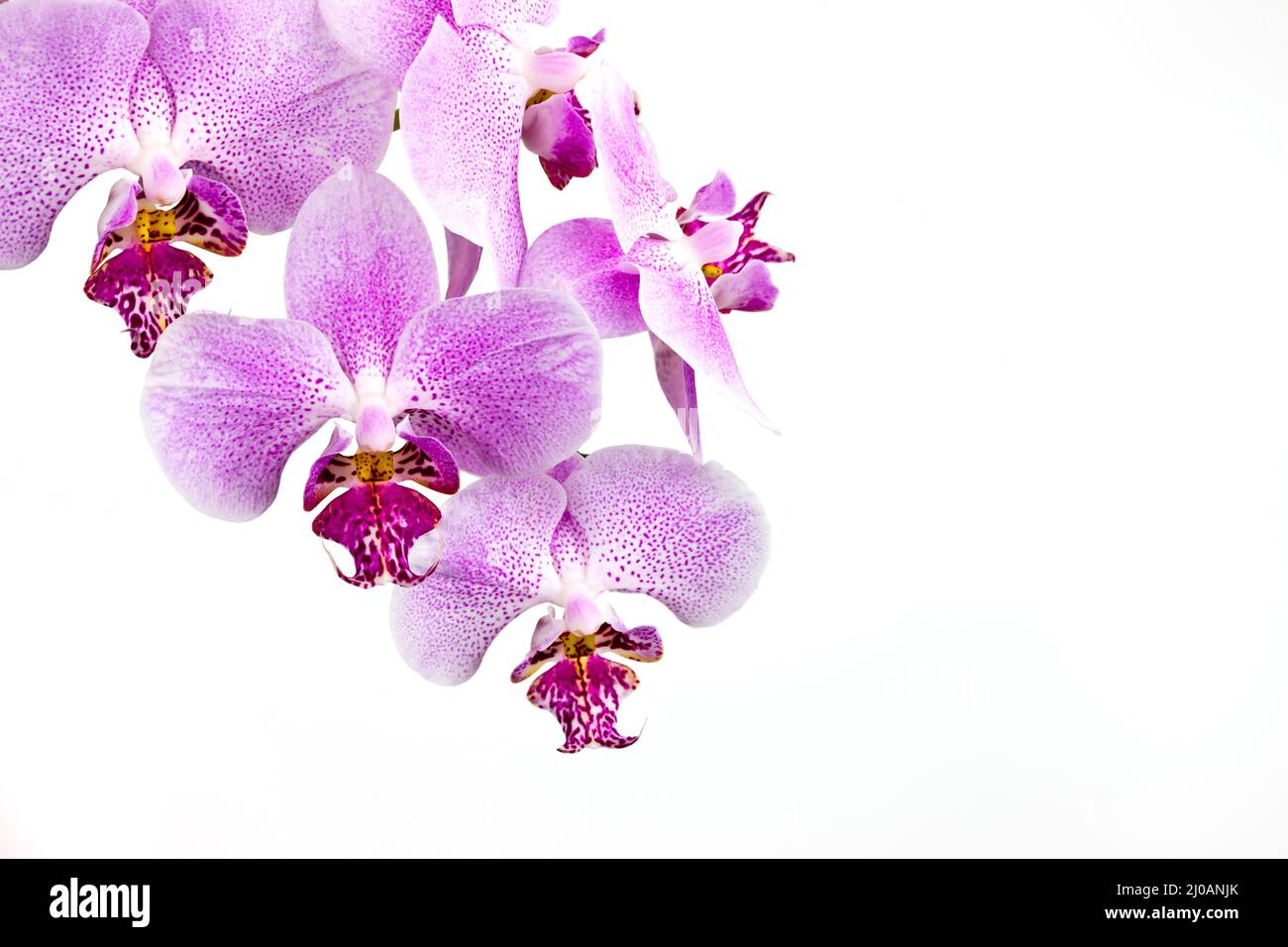 Diagonal arrangement hi-res stock photography and images - Alamy