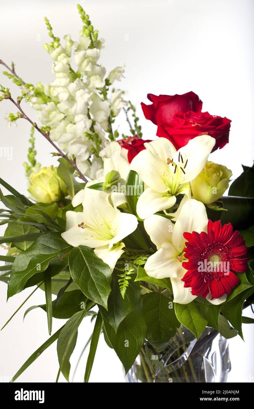 Vertical beauty shot hi-res stock photography and images - Alamy