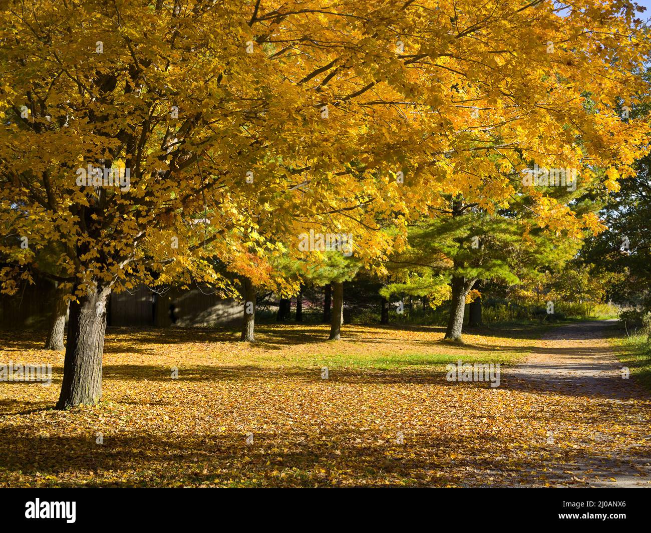 Suspended path hi-res stock photography and images - Alamy