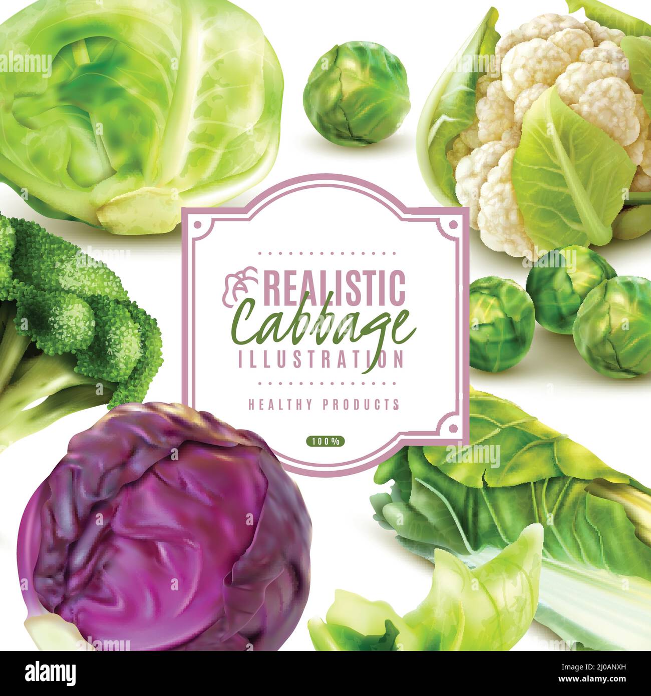 Realistic frame with different kinds of fresh cabbage on white ...