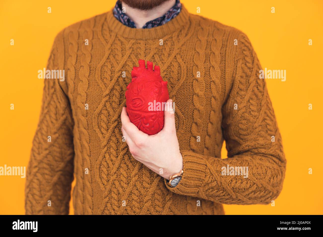 Young bearded Caucasian man holding artificial heart in his hand, the ...